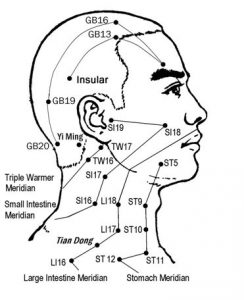 THE TOP FIVE ACUPUNCTURE POINTS TO BOOST YOUR IMMUNITY | Princeton ...