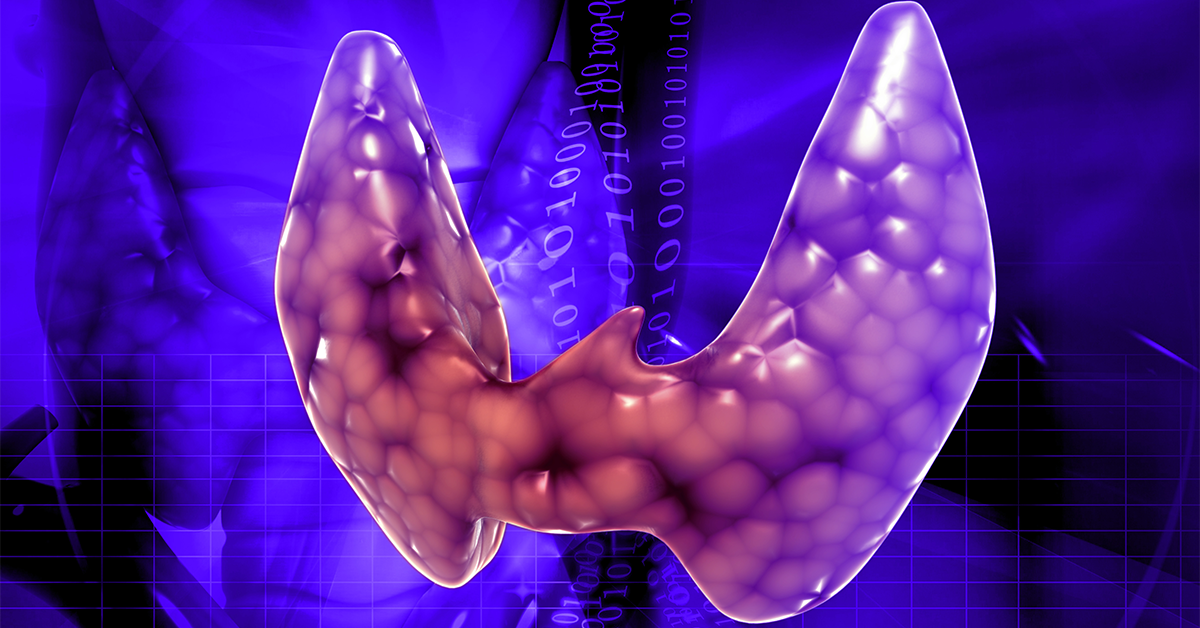 Why Acupuncture Works, Your Endocrine System | Princeton Acupuncture ...