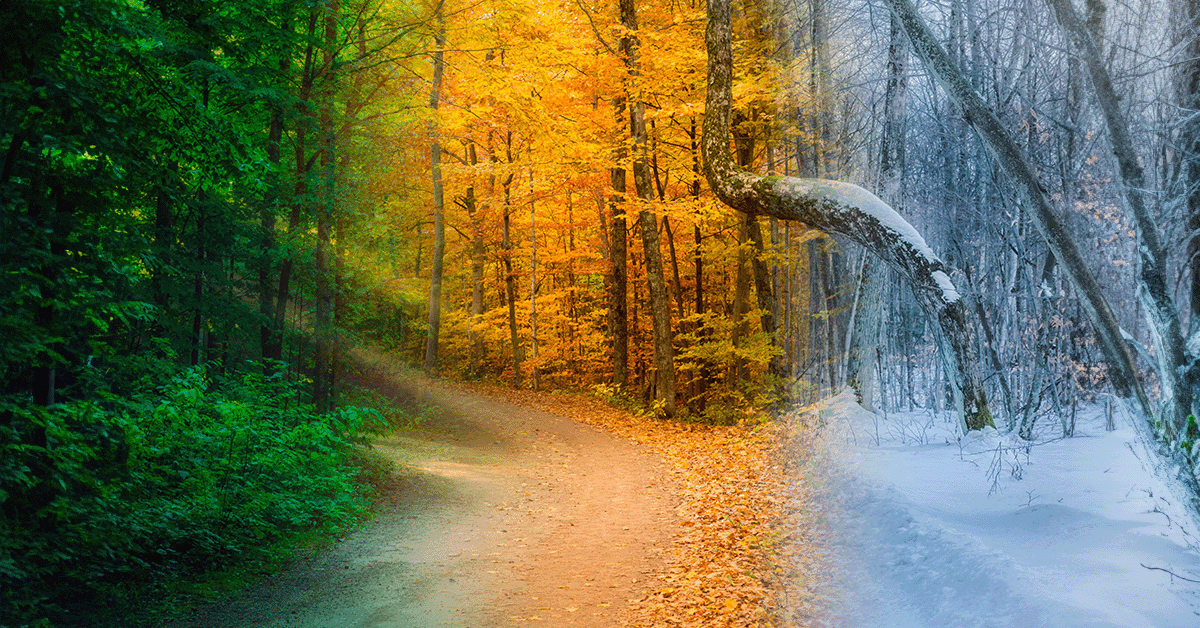 Seasonal Acupuncture | Princeton Acupuncture And Oriental Medicine